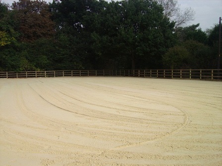 equestrian-sand | Shire Aggregates